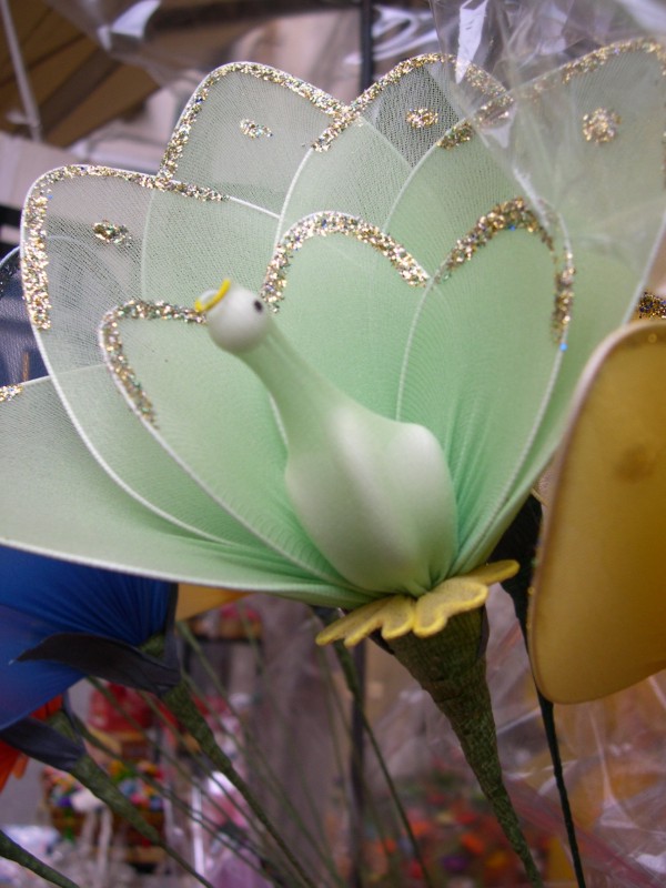 PhotoCult - Sorgente